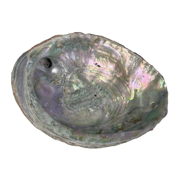 Vintage | Accents | Vintage Beautiful Natural Iridescent Collectible ...